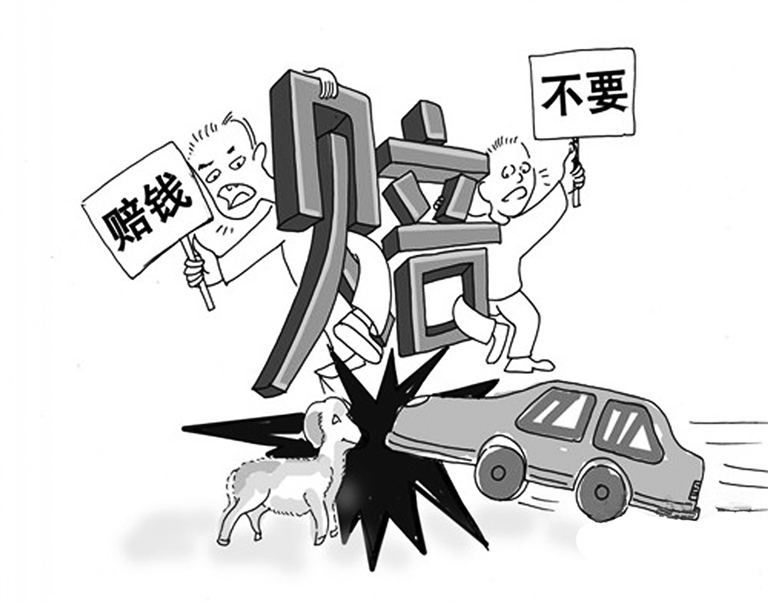 菏泽日报数字报 宠物狗被车撞死，谁之过？